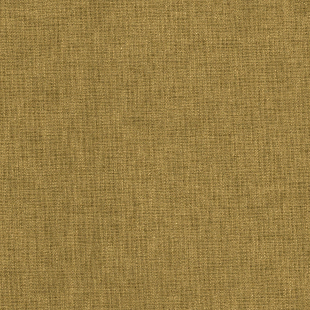 Performance Cotton - Mustard – Land.